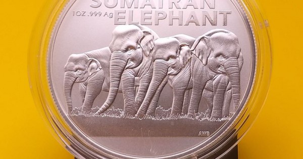 Szumátrai elefánt 2022 1 uncia ausztrál ezüst pénzérme